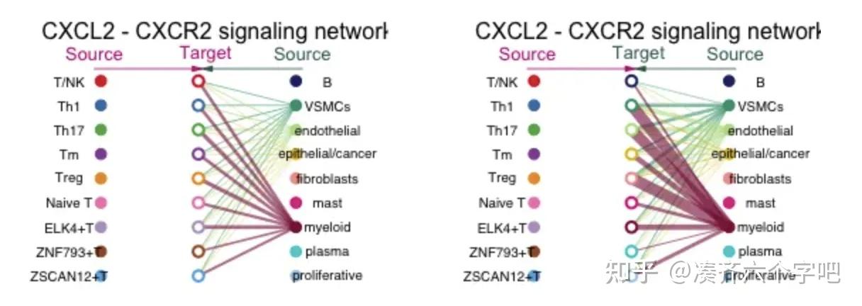 单细胞实战之cellchat——入门到进阶(高级篇1） - 知乎