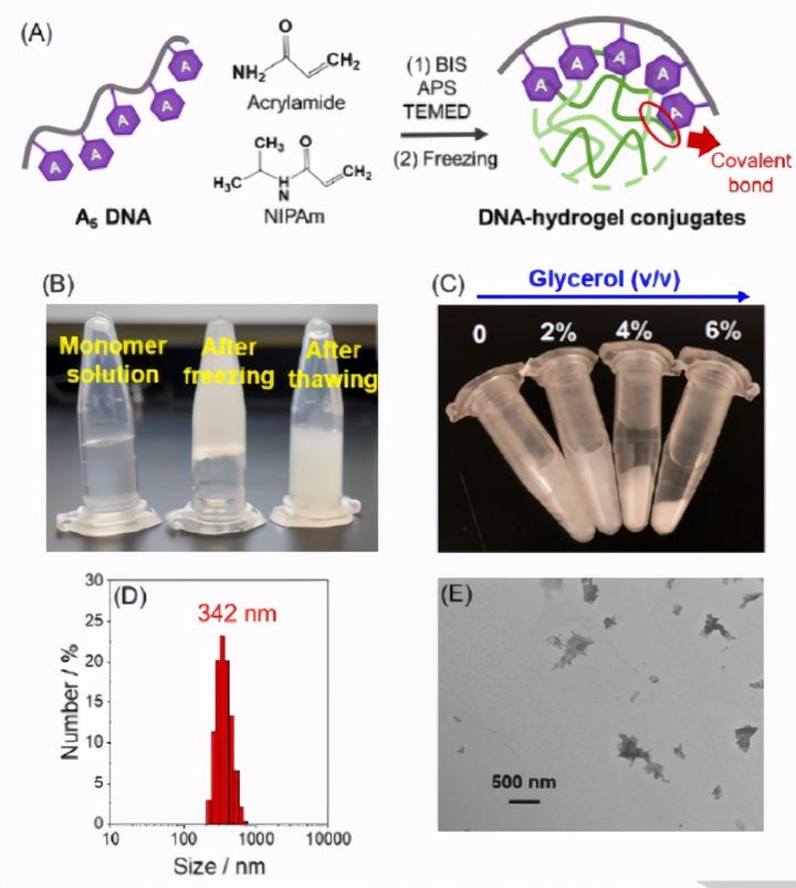 滑铁卢大学刘珏文《Angew》无修饰DNA的冷冻辅助偶联纳米凝胶，传感DNA和汞离子 - 知乎