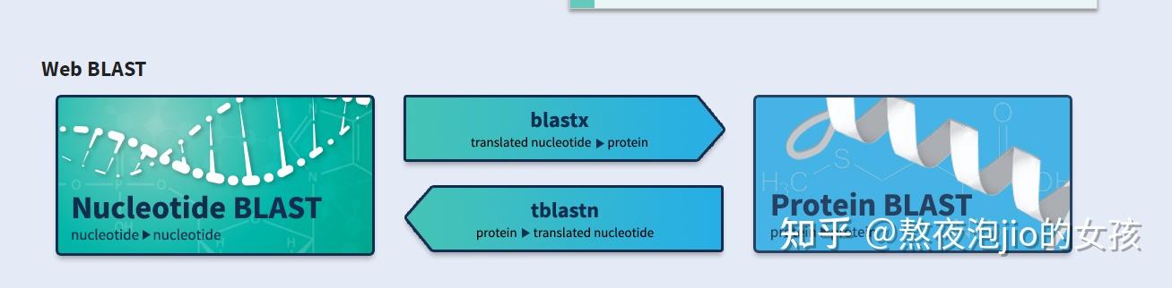 blast—小白教程 - 知乎