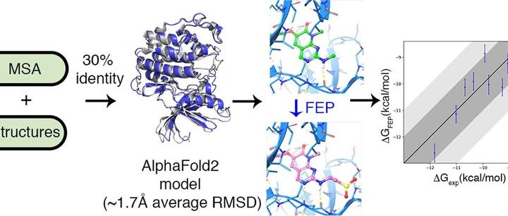 AF2 model适合用来做FEP吗 - 知乎