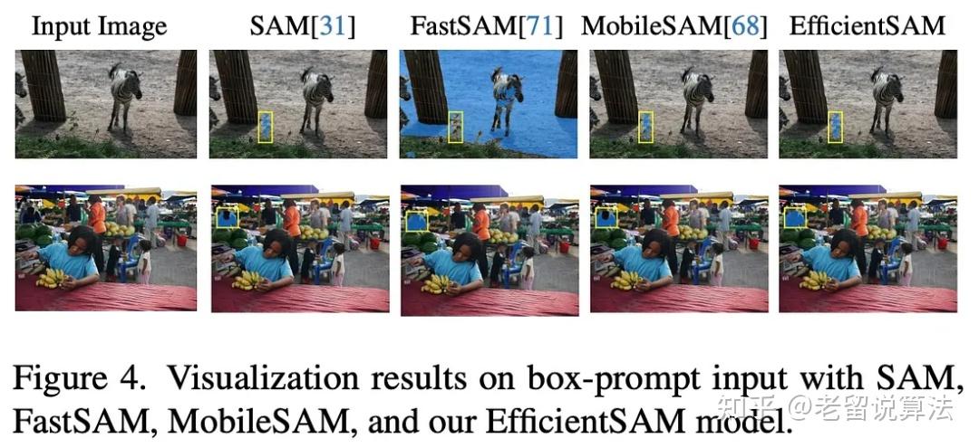 EfficientSAM|利用遮罩图像预训练对任何内容进行高效分割 - 知乎