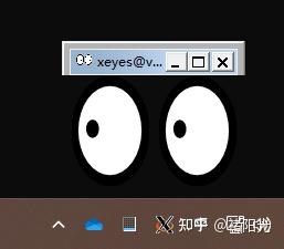 从Windows远程显示Linux图形程序：SSH X11转发完整指南 - 知乎