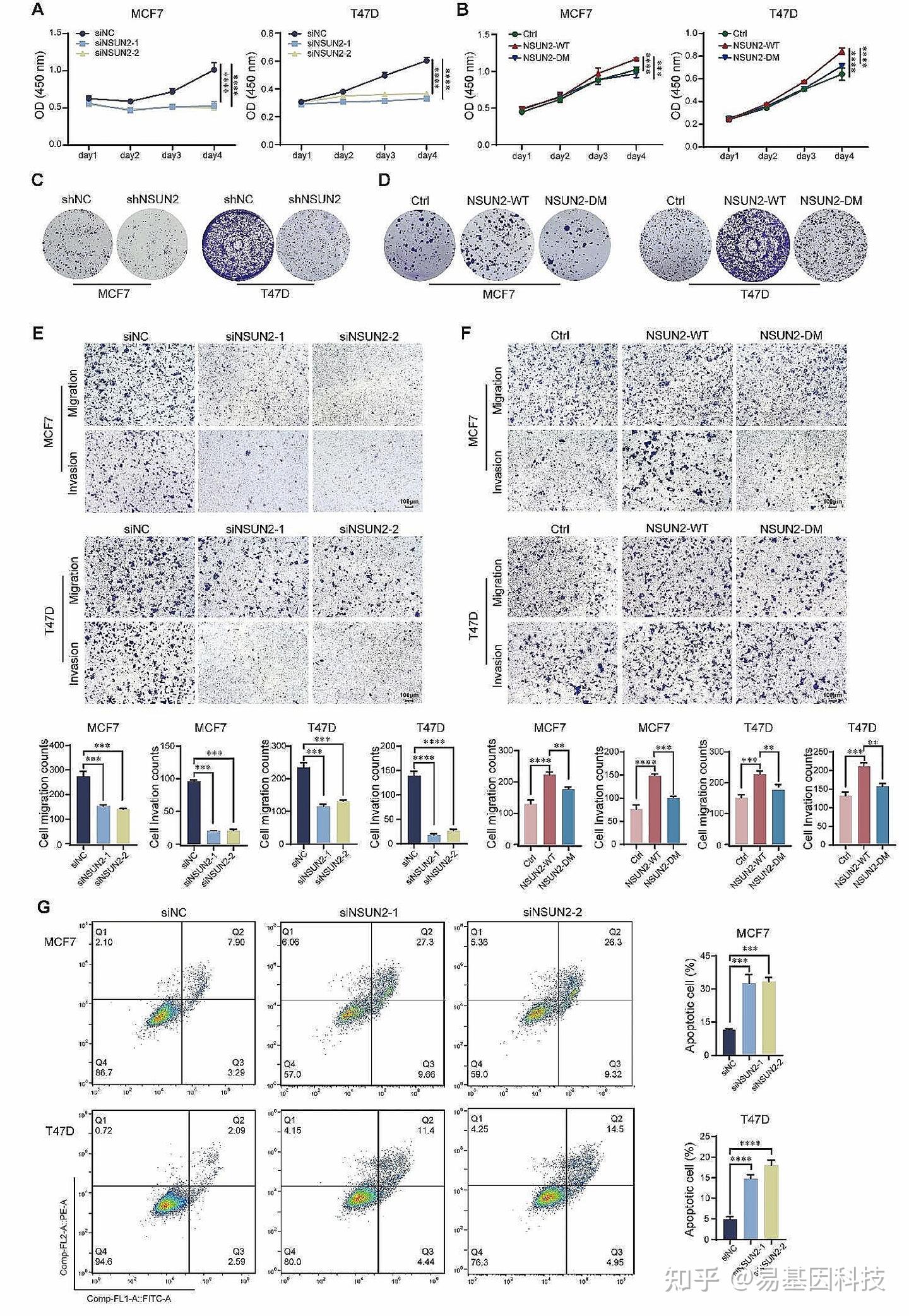NSUN2/YBX1介导m5C甲基化增强HGH1 mRNA稳定性以促进肿瘤进展 - 知乎