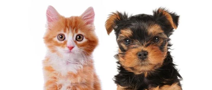 GWAS软件：GAPIT+GEMMA+GCTA如何计算PVE？ - 知乎