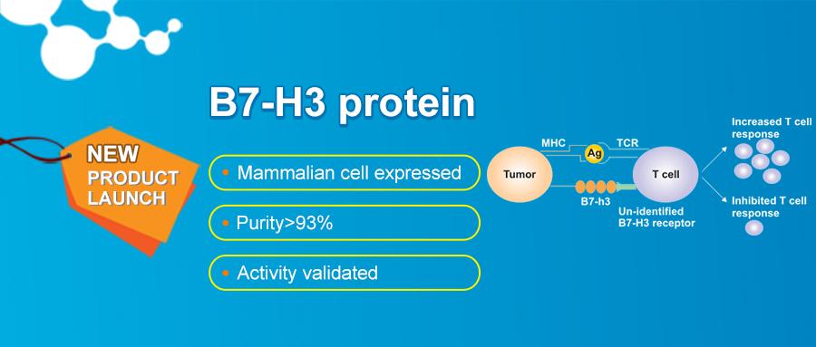 共刺激/共抑制双重作用：B7-H3是“敌”是“友”？ - 知乎