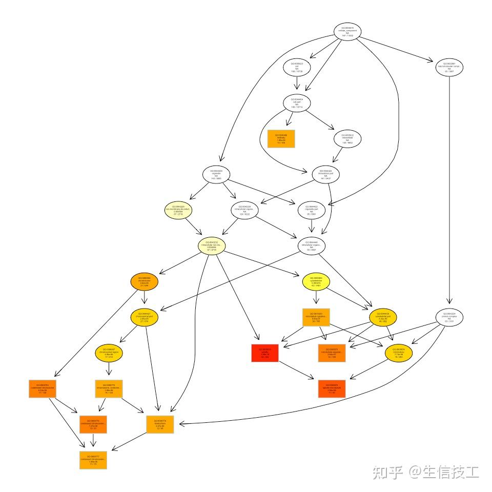 富集分析：（五）clusterProfiler：Visualization - 知乎