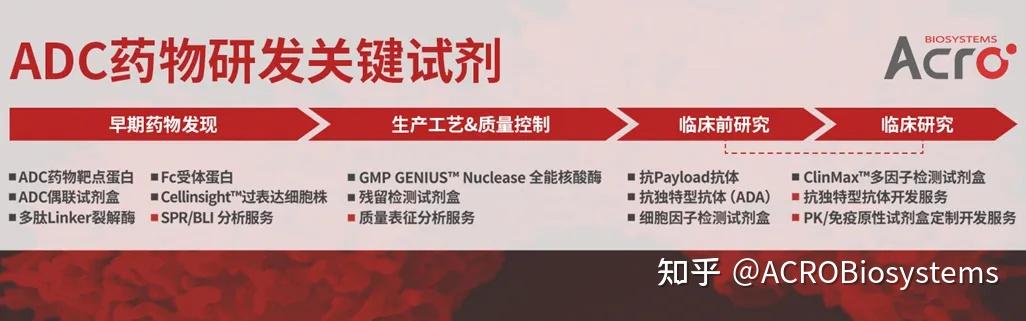 【靶点聚焦】小细胞肺癌新希望！SEZ6-ADC疗法大有可为 - 知乎