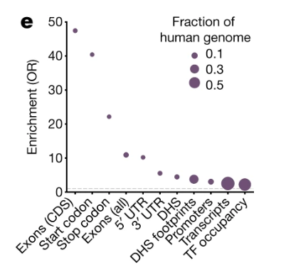 Nature|239个灵长类动物基因组的比较揭示了CRE元件的进化 - 知乎