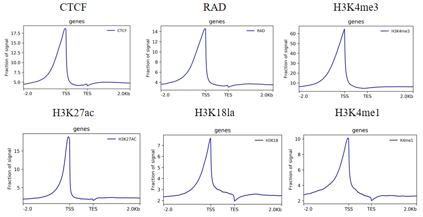 CUT&Tag与ATAC-seq联手，解析表观遗传机制 - 知乎