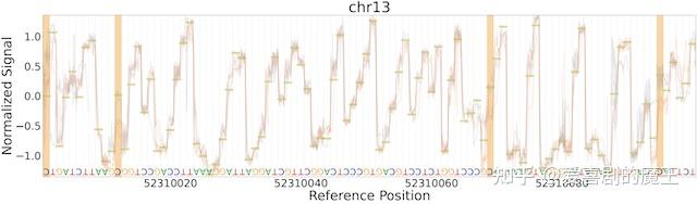 生信软件——使用Remora对纳米孔读数进行修饰检测 - 知乎