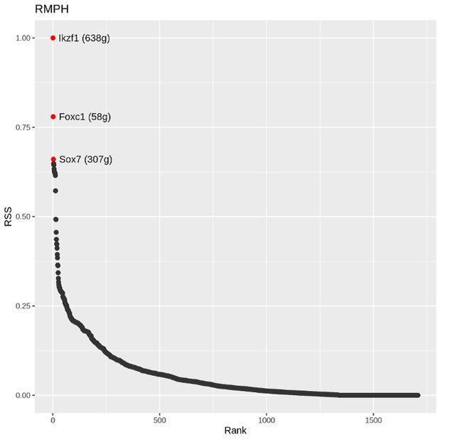 干货分享！一文带你走进单细胞分析高级玩法：Regulon调控子分析 - 知乎
