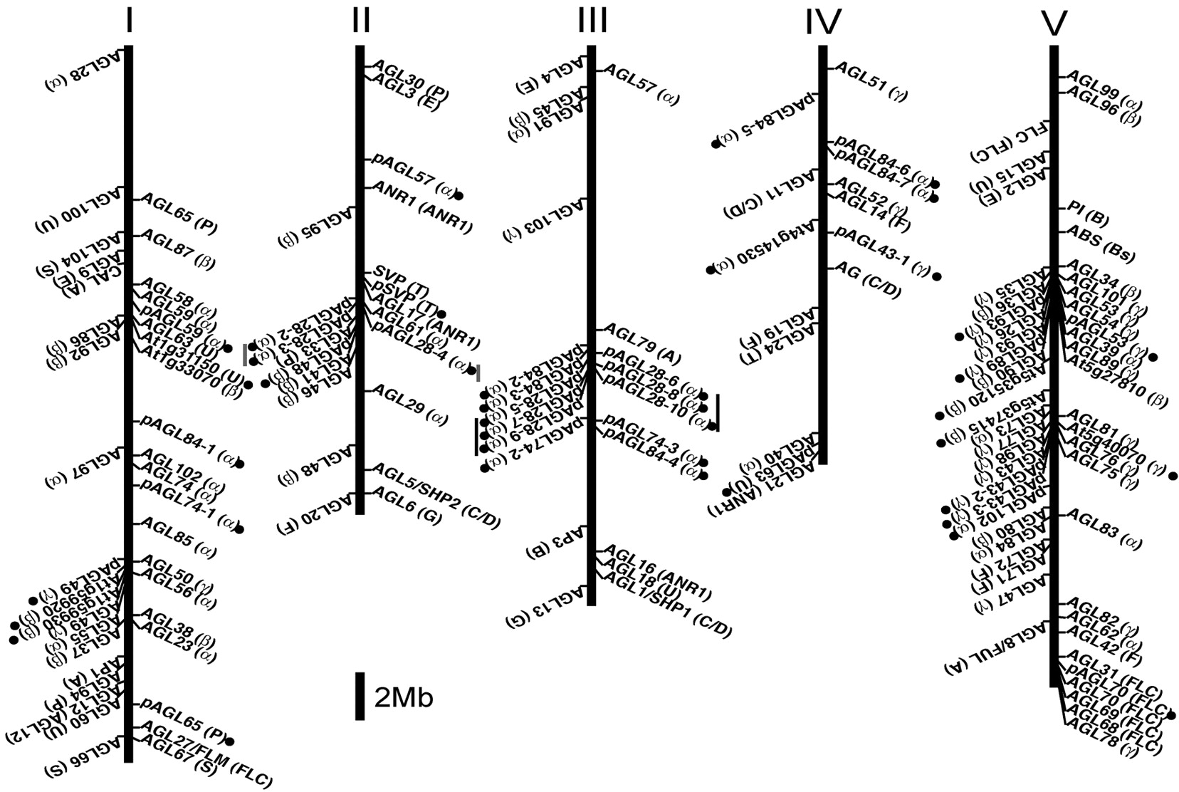 各位大佬，MADS-box到底是个啥呀，能具体说一下嘛，里面有转录因子是吗，还有它的保守结构域又是啥？ - 知乎