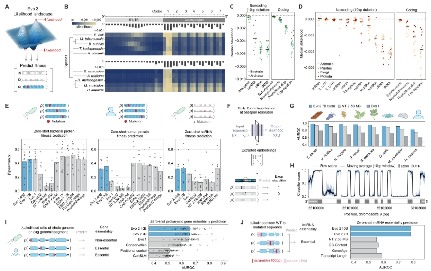 包含400亿个参数！迄今最大开源生物学AI模型Evo 2发布，可设计涵盖生命所有领域的遗传密码 - 知乎