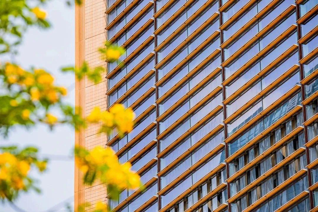 【方大幕墙】245米！前海金融控股大厦项目，新进展 - 知乎