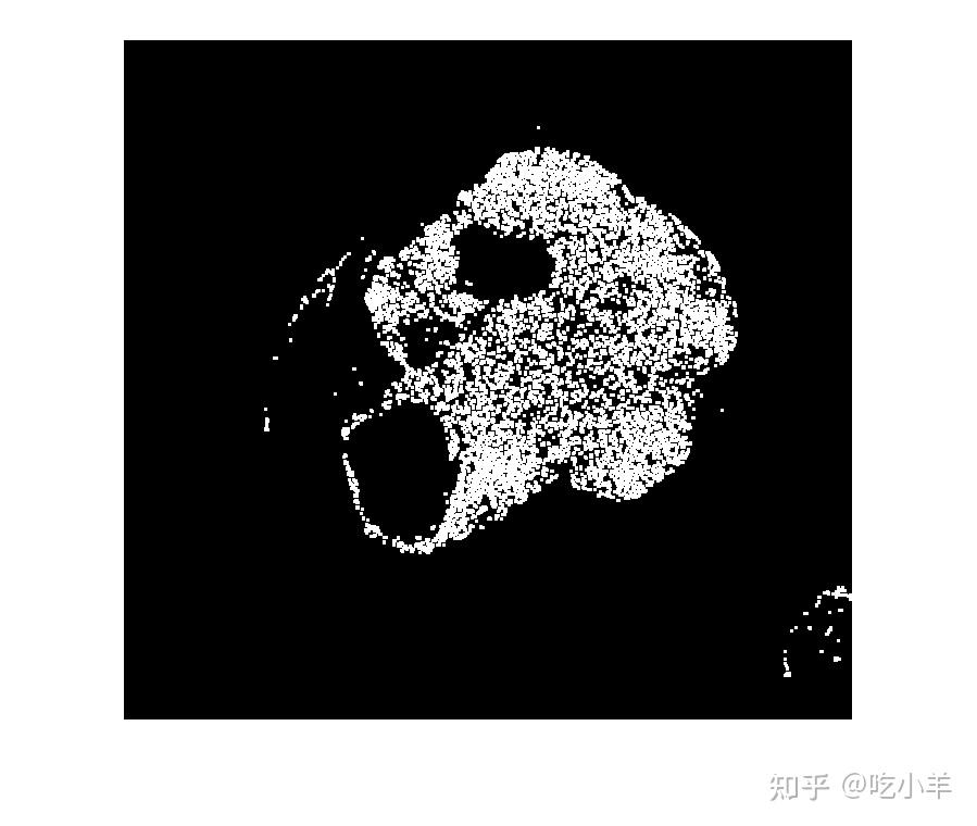 MATLAB图像处理：126：使用蒙版有效处理分块图像