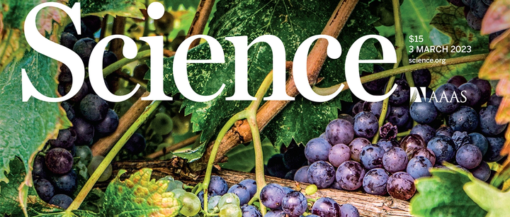 打破新记录！2天中国学者发表12篇Nature，Science及Cell - 知乎