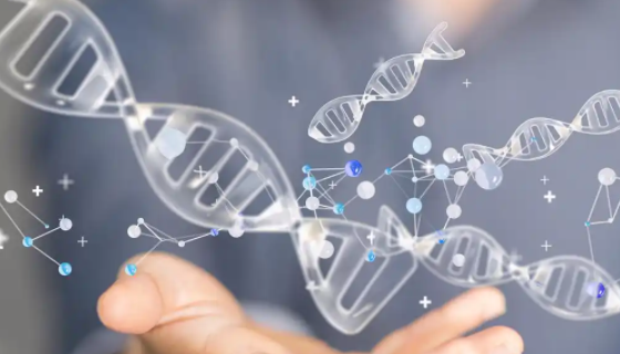 人海马神经元细胞HPPNCs验收注意事项及培养步骤！ - 知乎