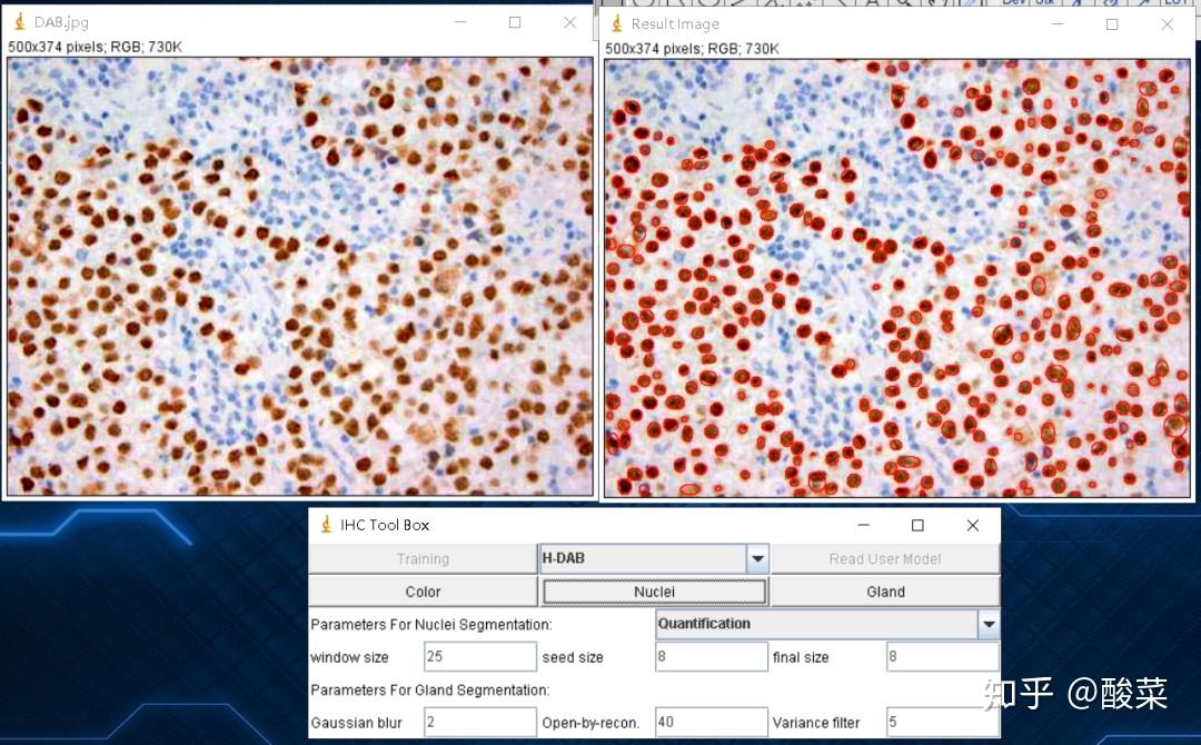 ImageJ高效图片分析技巧 - 知乎