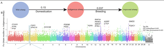 Beagle填充报错|java.lang.IllegalArgumentException - 知乎