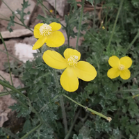 P.W.Anderson 惊人的物理直觉来自哪里？（1） - 知乎