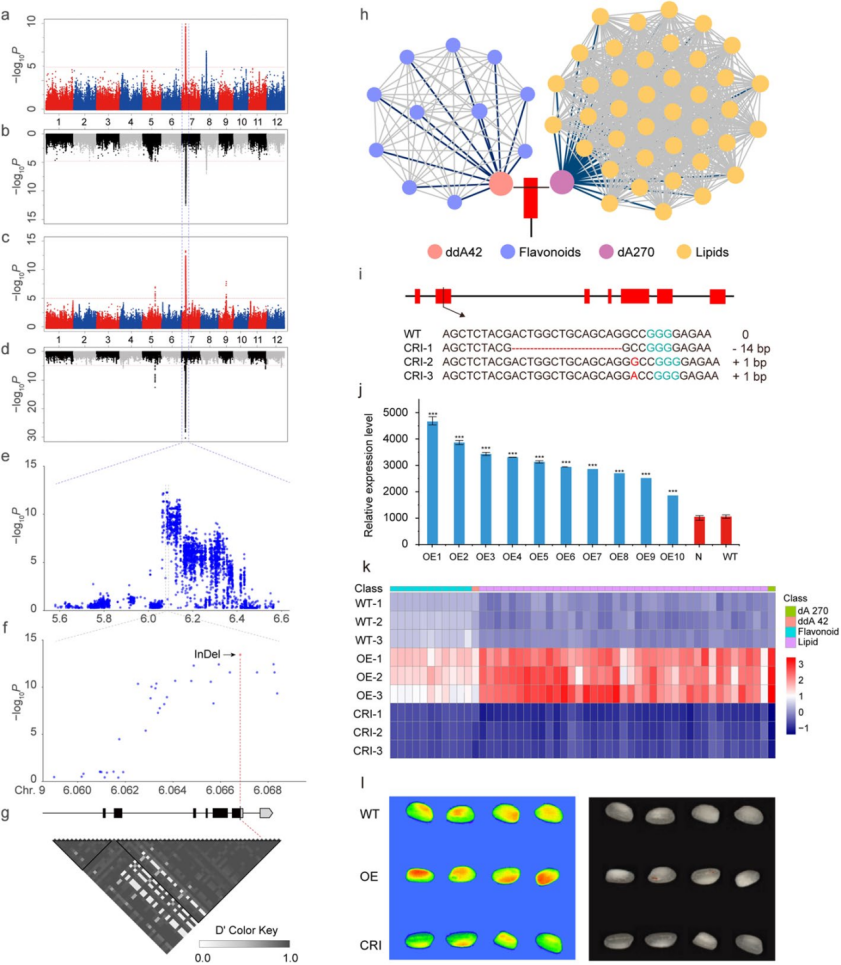 GWAS之后如何进行mGWAS分析？如何准备样本？ - 知乎