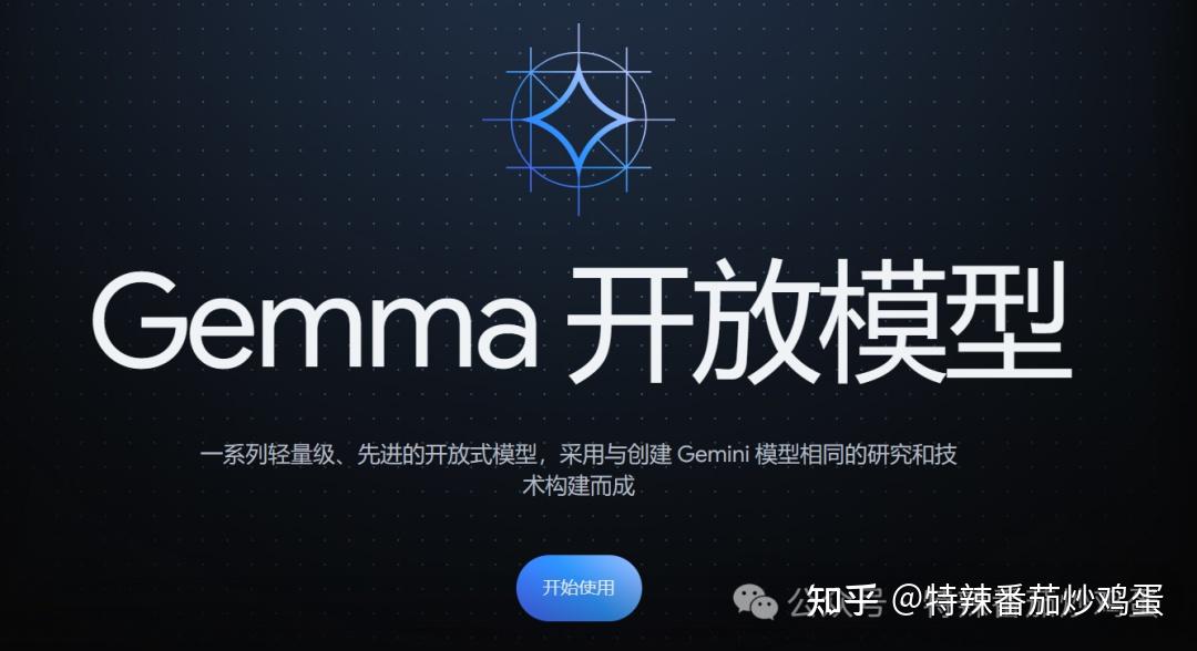 Google的Gemma的使用教程 - 第一次尝试 - 知乎