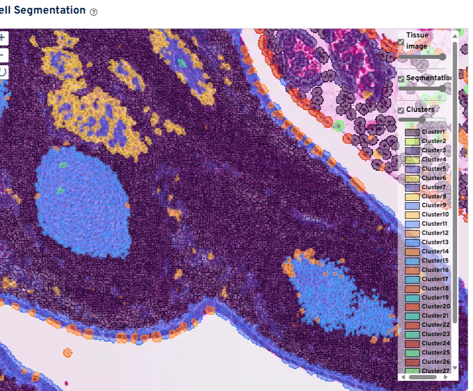 让细胞分割更easy!10x Genomics推出 Visium HD官方细胞分割方案！ - 知乎