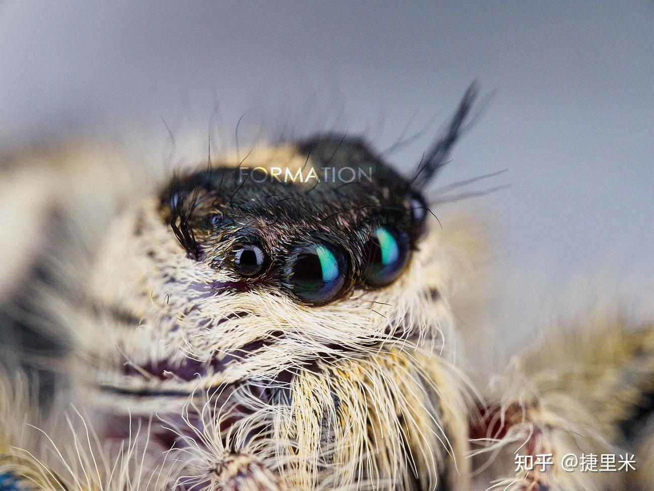 2023年 M43镜头怎么搭配 - 知乎