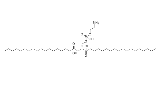 DSPC-PEG-A33/CD81/CD63/PDL1/CD3/CD33抗体/单链抗体aCD11c 二硬脂酰磷脂酰胆碱的应用 - 知乎