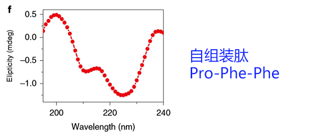 专肽生物：蛋白质材料：Pro-Phe-Phe自组装 - 知乎