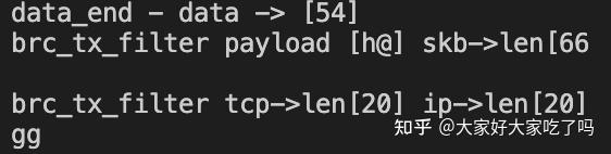从sk_buff中的线性区与非线性区到 bpf_skb_pull_data - 知乎