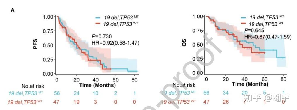 肺腺癌1A3期有egfr 和tp53 突变，需要做什么辅助治疗？ - 知乎