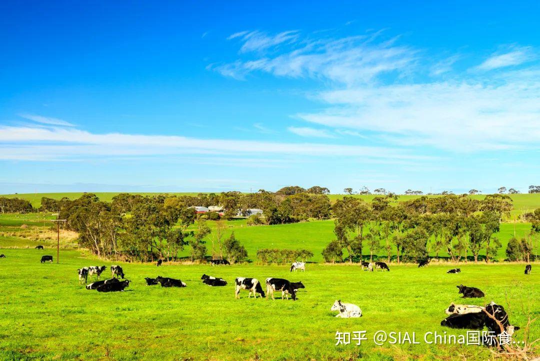RCEP全面推动区域内食品行业价值链增值｜SIAL国际食品展 - 知乎