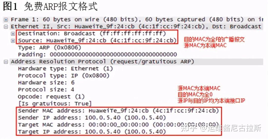 3分钟带你了解免费ARP - 知乎