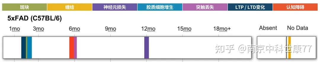 疾病动物模型——|5×FAD转基因小鼠南京中科世康的分享 - 知乎