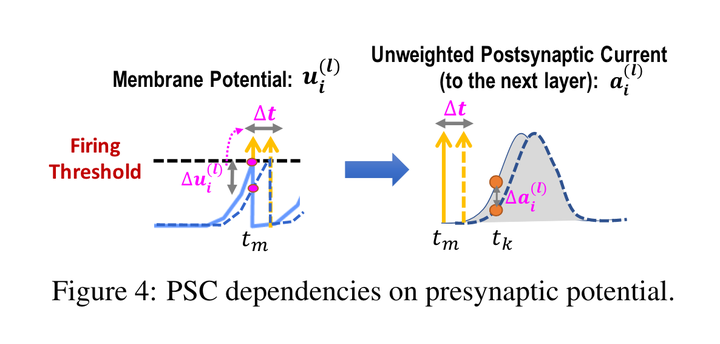 论文阅读：Temporal Spike Sequence Learning via Backpropagation for Deep Spiking Neural Networks（TSSL ...