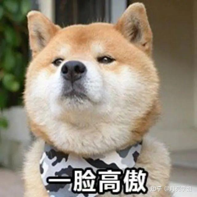 英国G5纷纷更新23Fall要求，这回没有GRE真的不行！ - 知乎