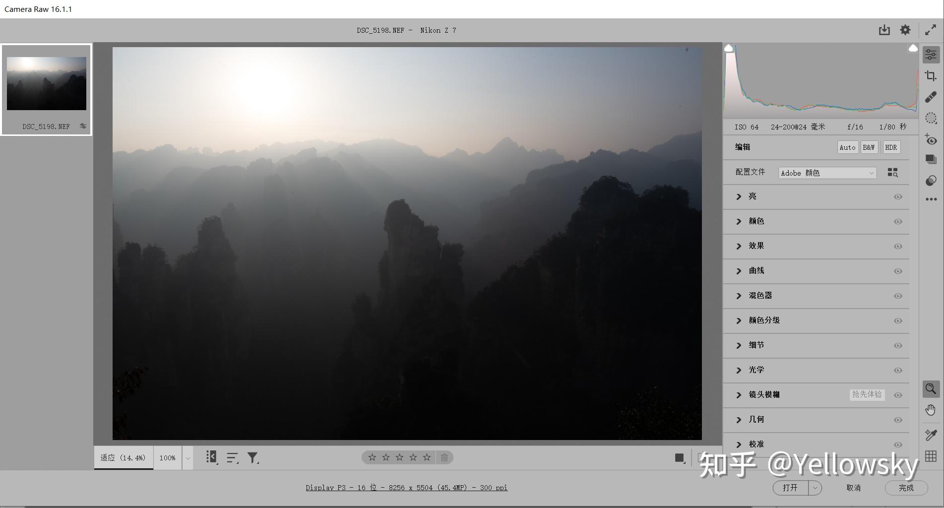 2024年了尼康一代z7和索尼A7R4哪个值得入？ - 知乎