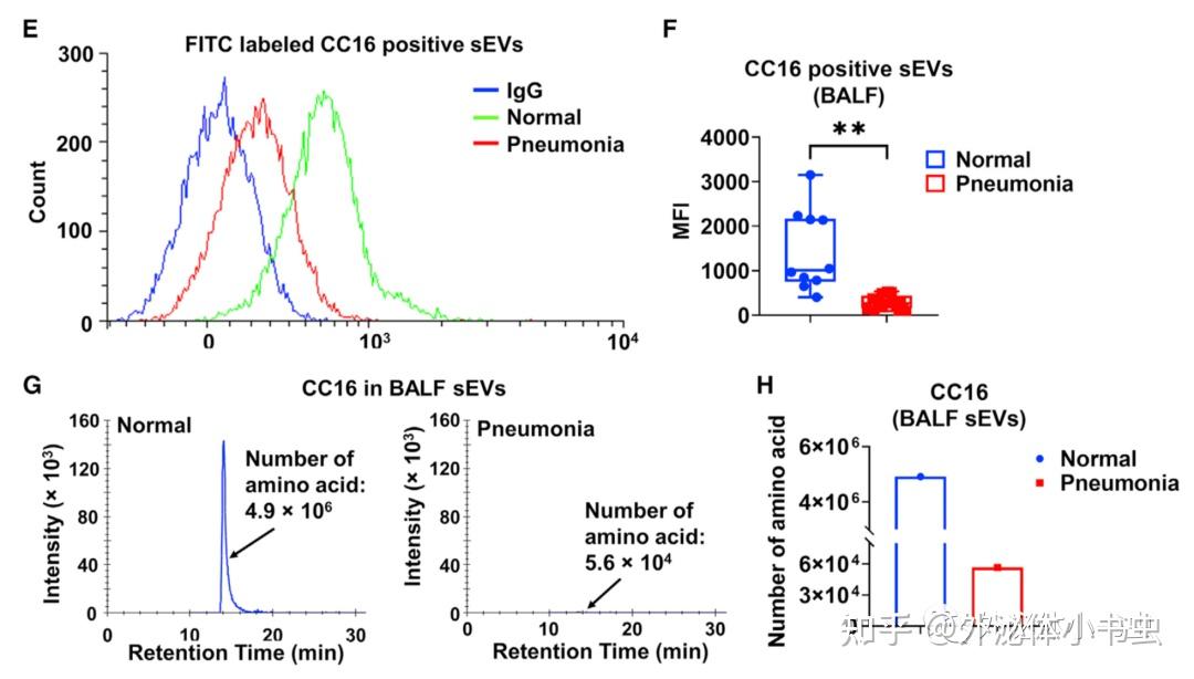 文献分享【Mol. Ther.】外泌体装载CC16蛋白治疗肺急性炎症反应 - 知乎
