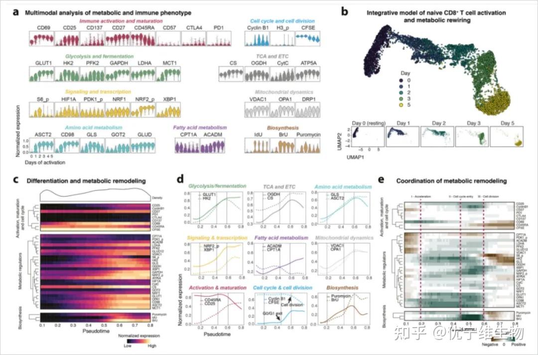 两篇高分文献带您了解质谱流式(CyTOF)的应用 - 知乎
