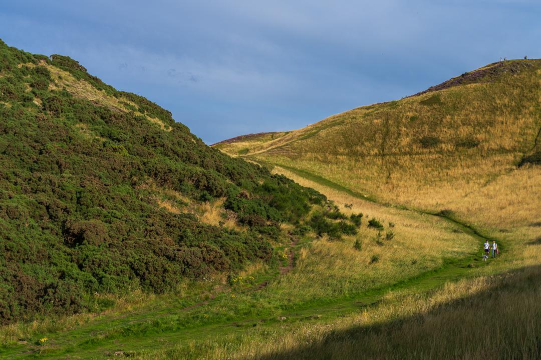 索尼A7m4、A7r4a和A7r5三款哪款更推荐？ - 知乎