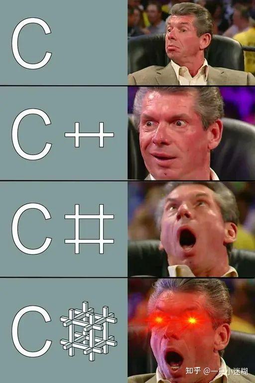 C、C++、C#，然后…… ？ - 知乎