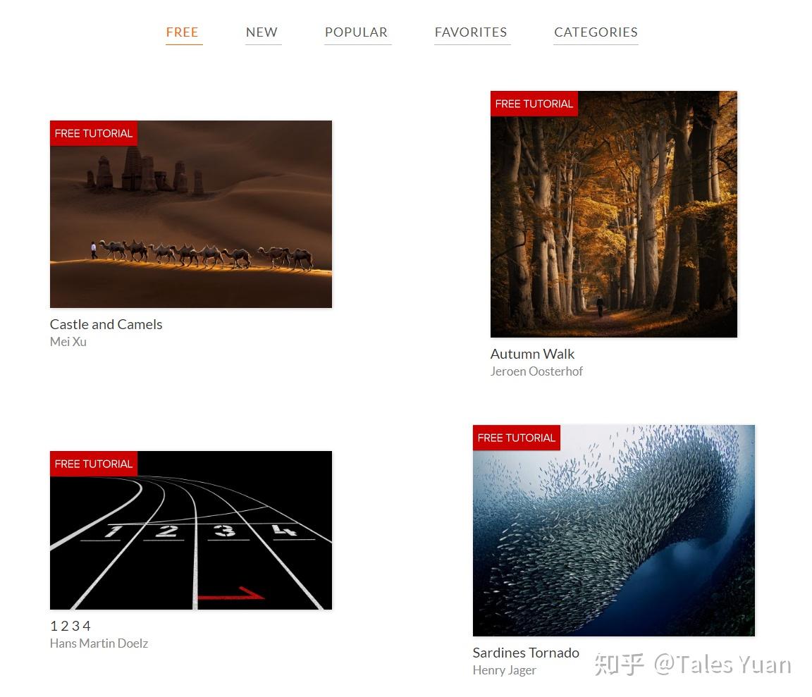 居然有如此宝藏的摄影网站？——可能是目前最全面的1x.com中文使用指南（文字版） - 知乎