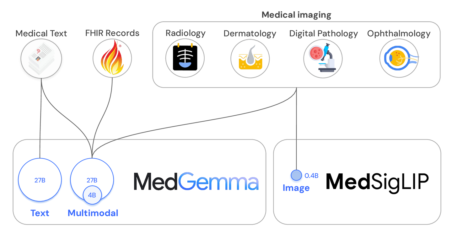 MedGemma深度解析：谷歌开源的医疗多模态AI模型 - 知乎