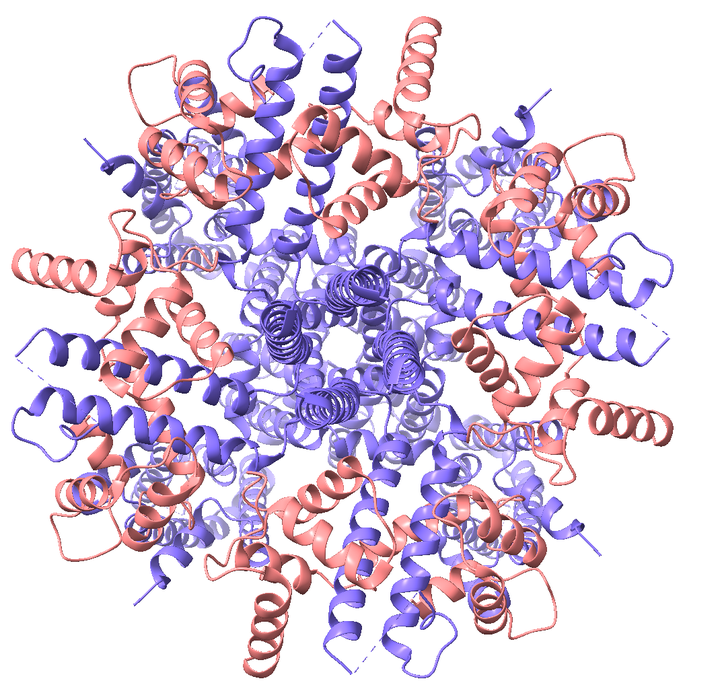 电镜从0到1之软件学习：ChimeraX - 知乎