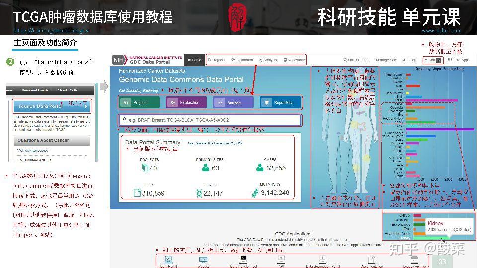 TCGA新版数据下载与整理教程来了！来抄作业！ - 知乎