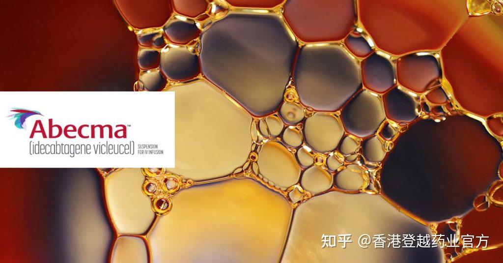 艾迪卡巴金(Abecma Idecabtagene vicleucel)FDA批准首个用于治疗成人多发性骨髓瘤的细胞基因疗法 - 知乎
