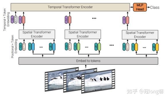 Video Tokenizer and Video Encoder - 知乎