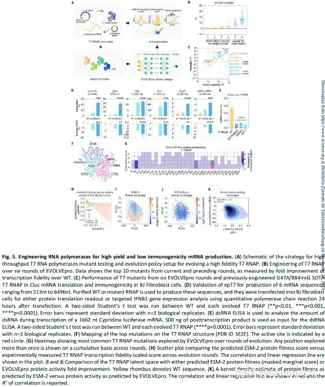 Science正刊｜蛋白质语言模型EVOLVEpro实现快速的定向进化 - 知乎