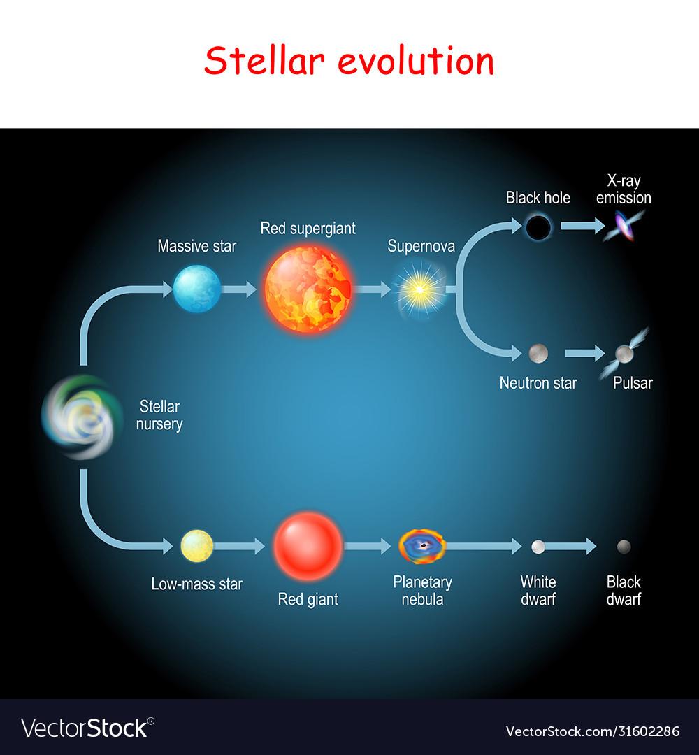 每日一词： 恒星演化 (Stellar evolution) - 知乎